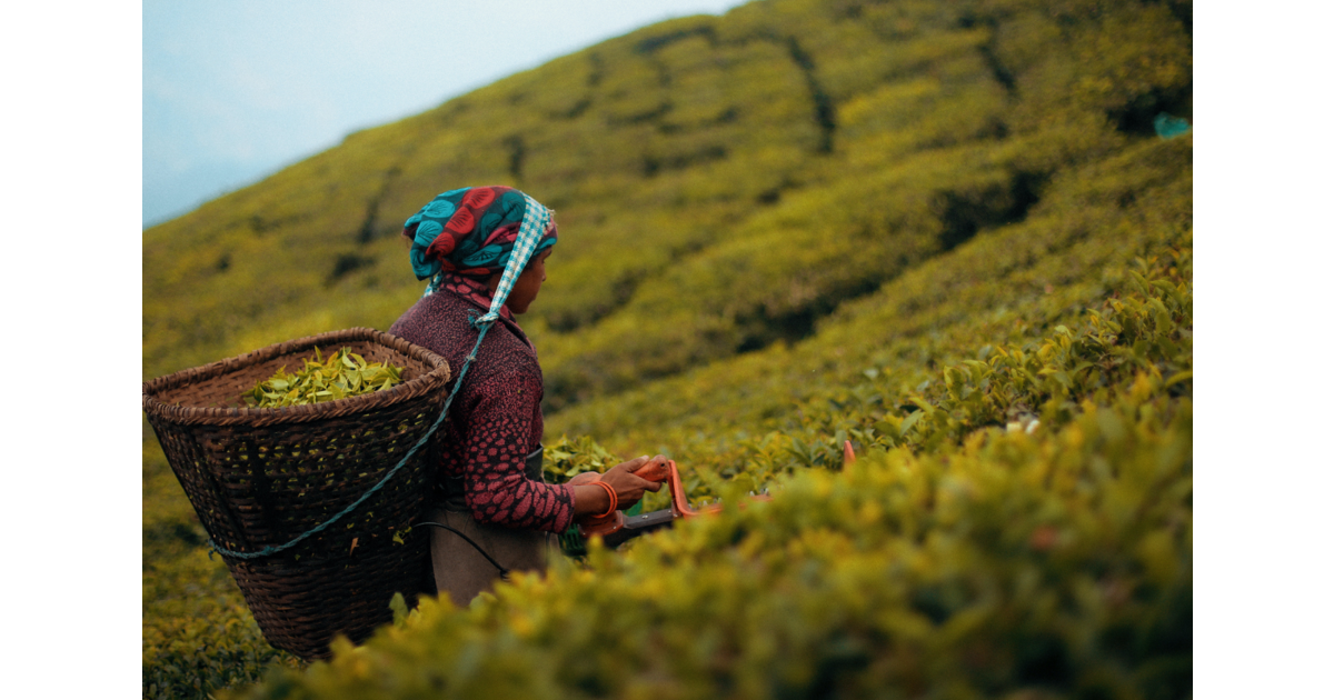 The landing has started | Candriam