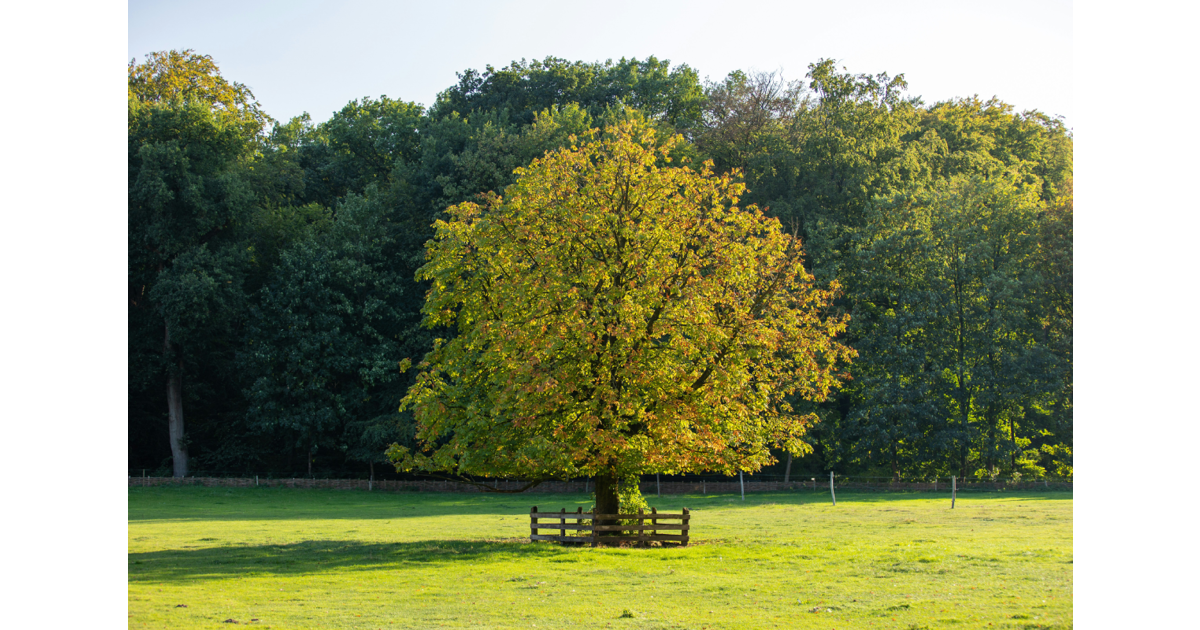 Huge supply at the beginning of the year | Candriam