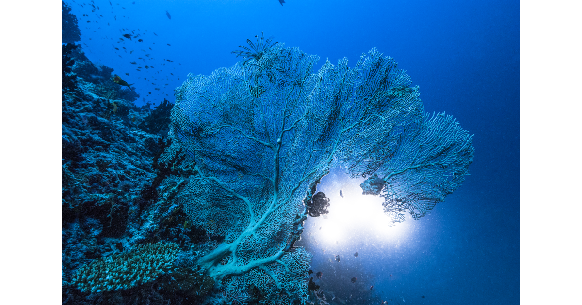 Why Water Matters: Sovereign Sustainable Investing | Candriam