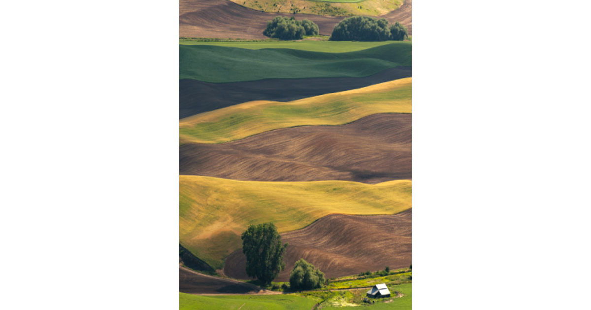 Investment Solutions | Candriam